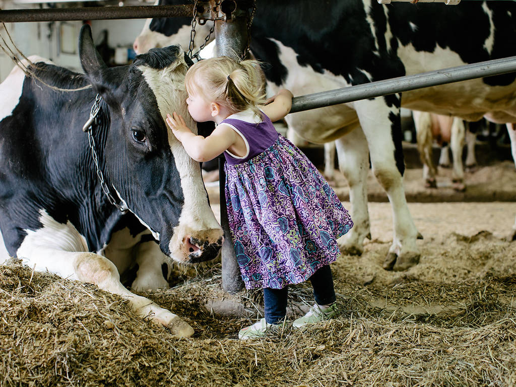 15 Best Farm Stays in the United States | Farm Vacations