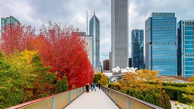 The Absolute Best Things To Do In Chicago Today