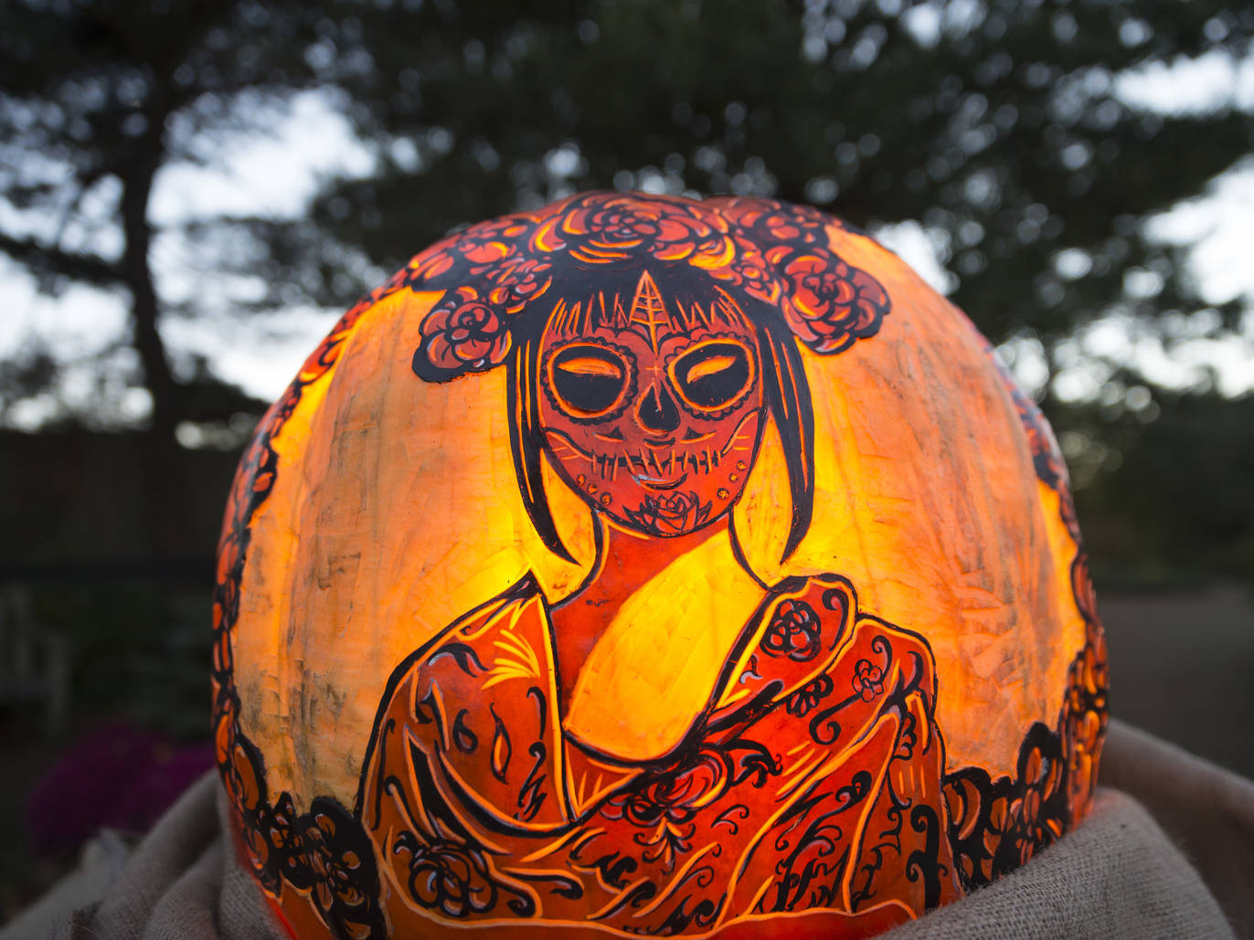October 2024 Events in Chicago: Best Things to Do