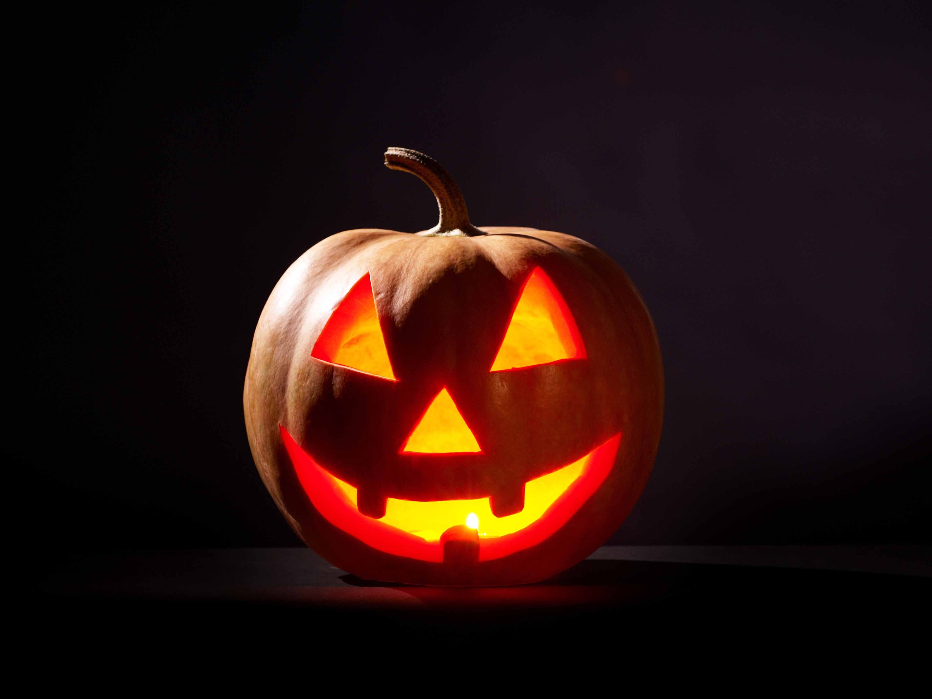 Halloween In Chicago 2025 Your Complete Guide To Celebrating
