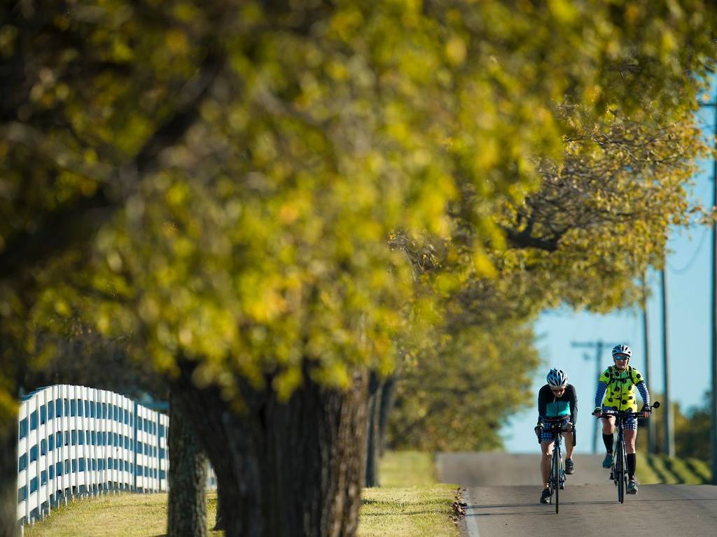 13 Most Gorgeous Fall Foliage Bike Trails in America