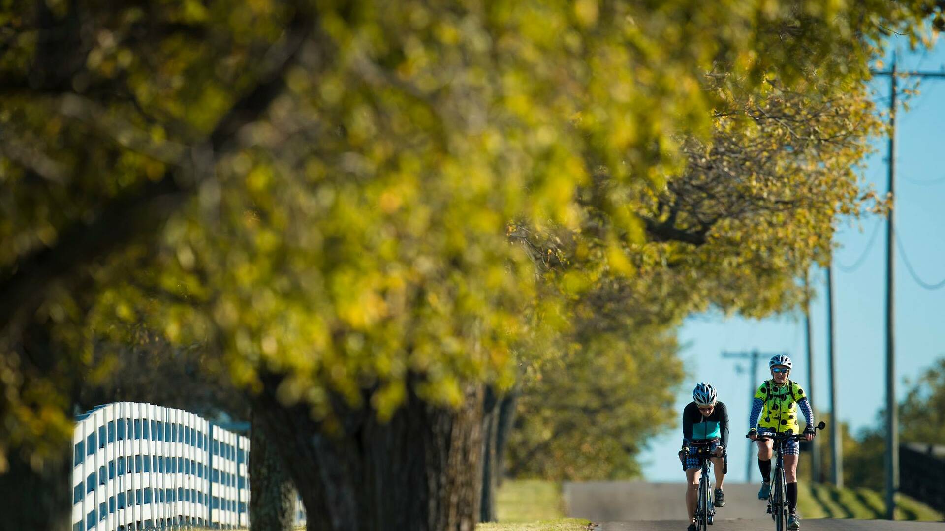 13 Most Gorgeous Fall Foliage Bike Trails in America
