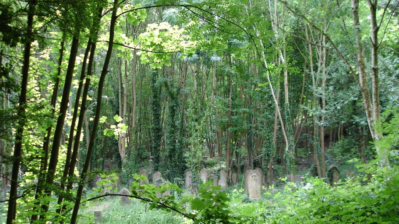 6 Eerily Beautiful Graveyards to Visit in the UK