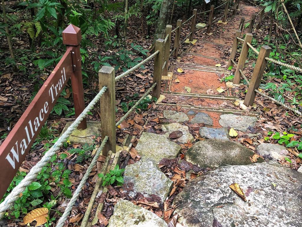 The Ultimate Guide To The Rail Corridor In Singapore