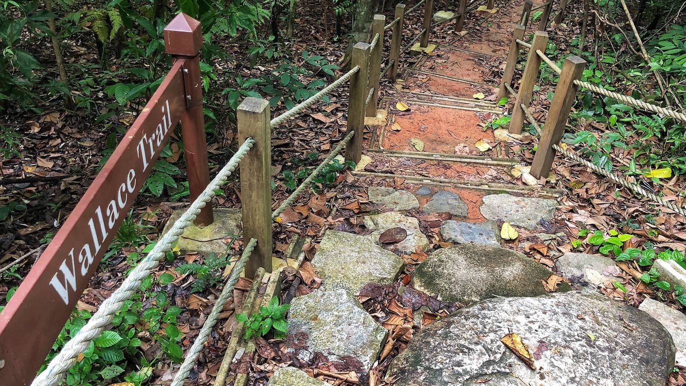 The Ultimate Guide To The Rail Corridor In Singapore