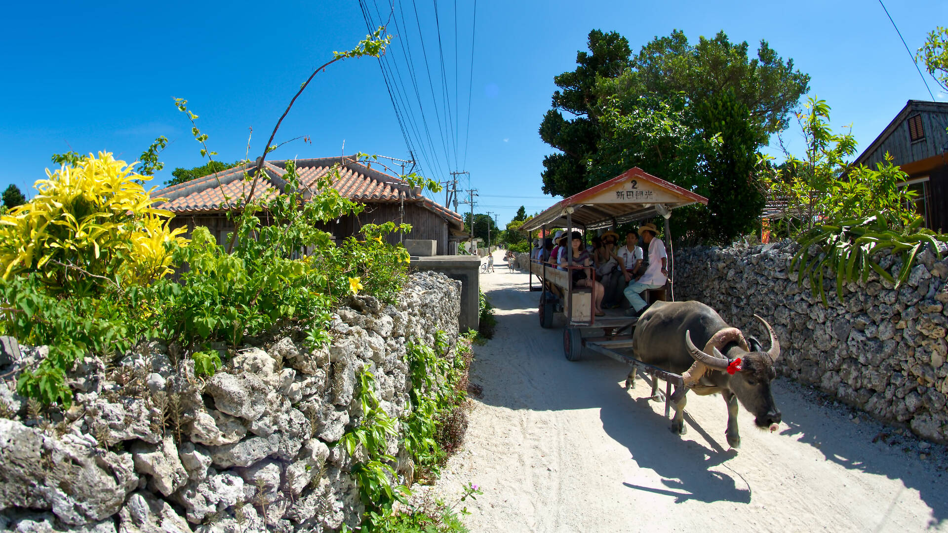 The best Okinawa islands you should visit