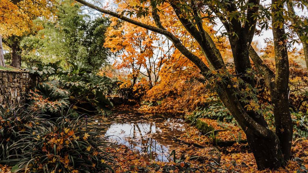 9 Best Places to See Autumn Leaves in the UK in 2024