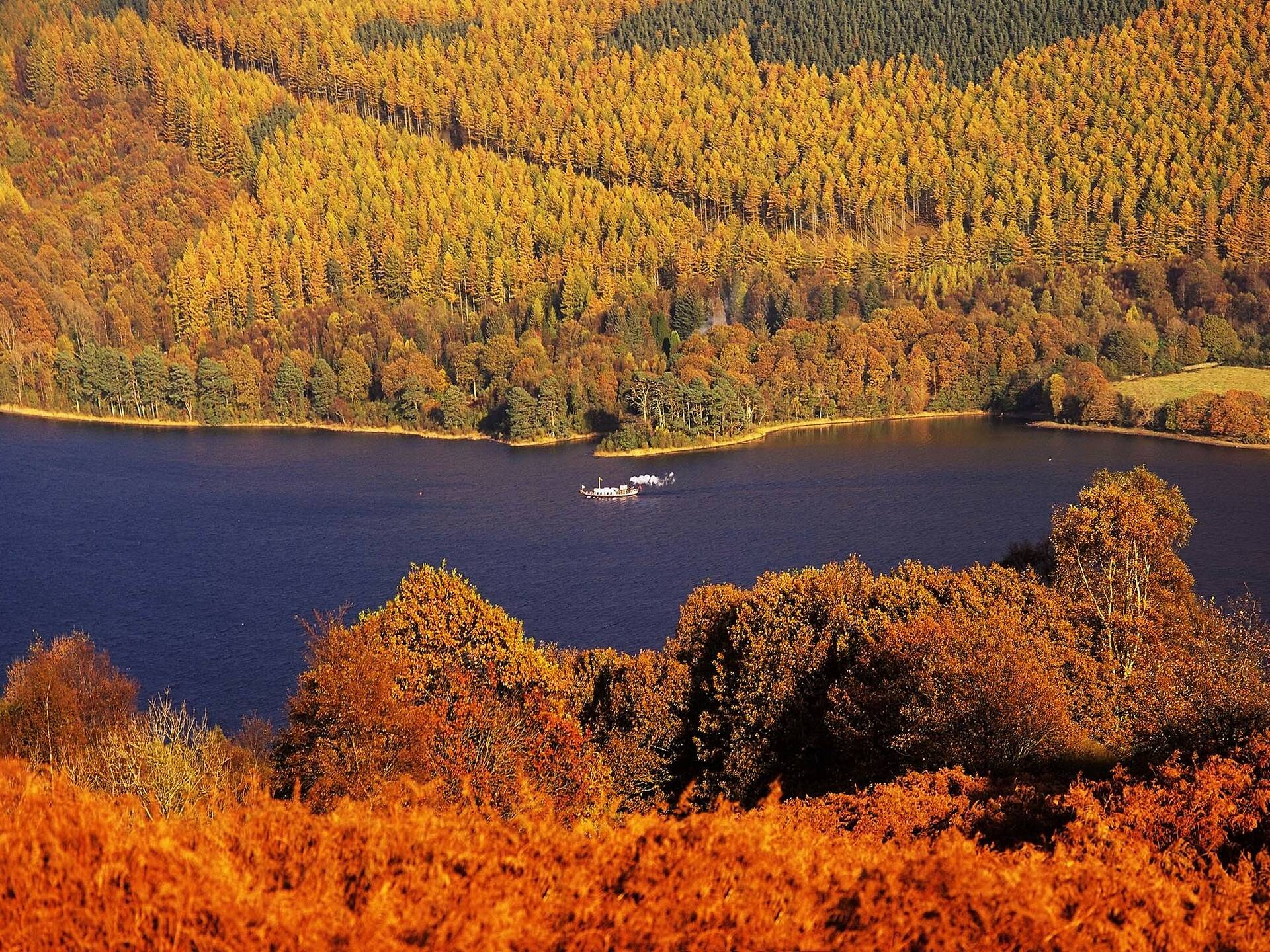 9 Best Places to See Autumn Leaves in the UK in 2024