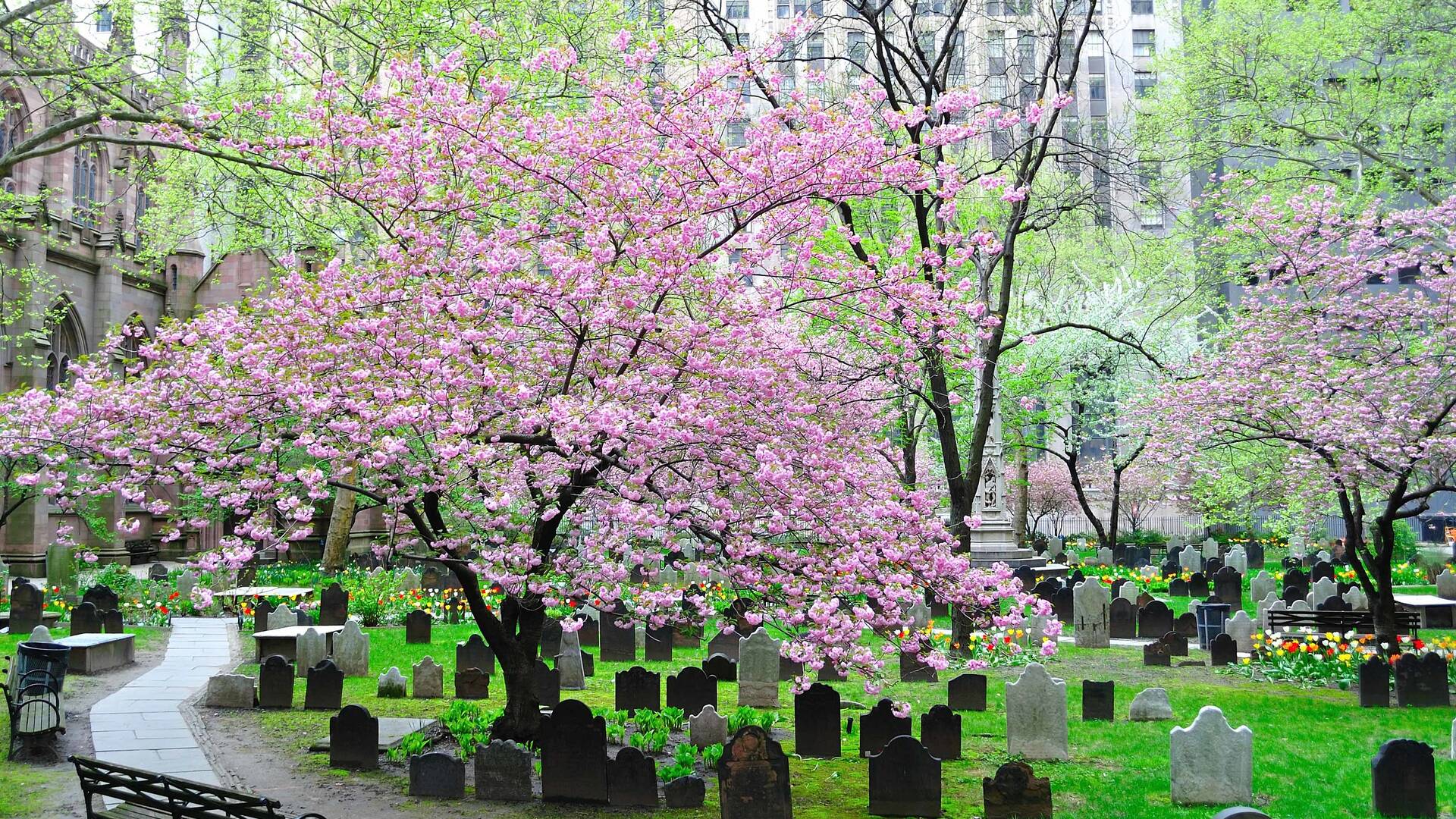 19 Most Beautiful Cemeteries in the U.S. to Visit Year Round