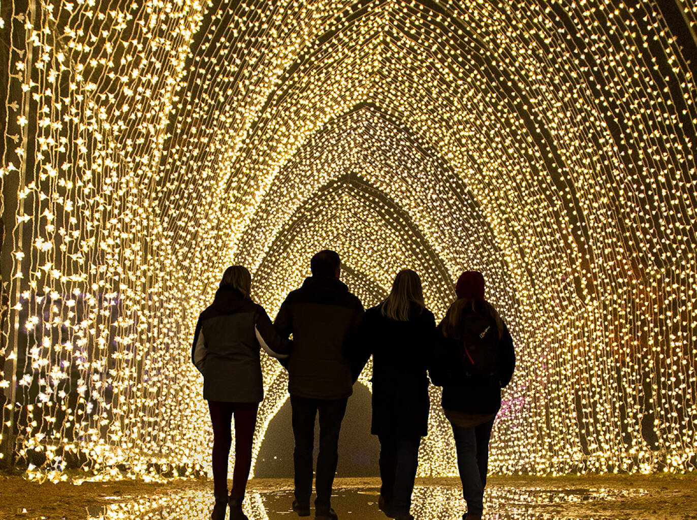 15 Best Spots to See Christmas Holiday Lights Around Chicago