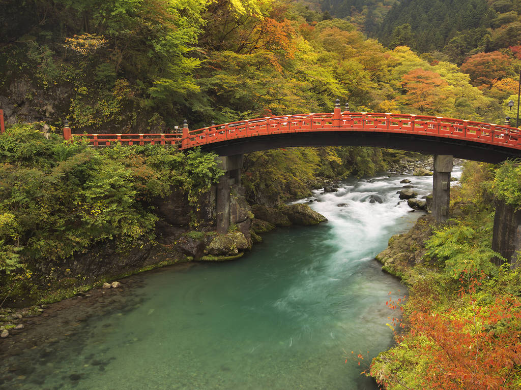 12 most beautiful autumn destinations in Japan for 2025: from Kyoto to ...