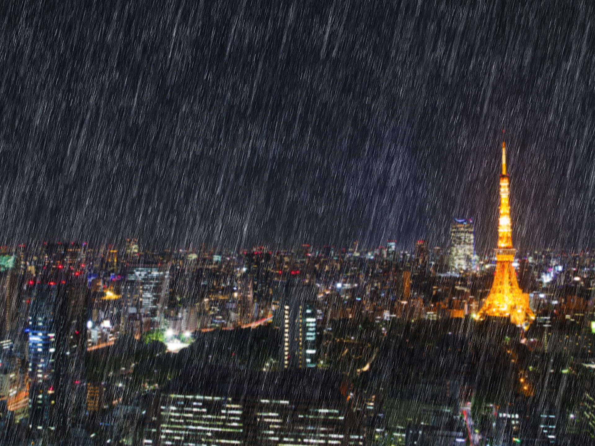 Typhoon in Tokyo: how to prepare and what to do when it hits