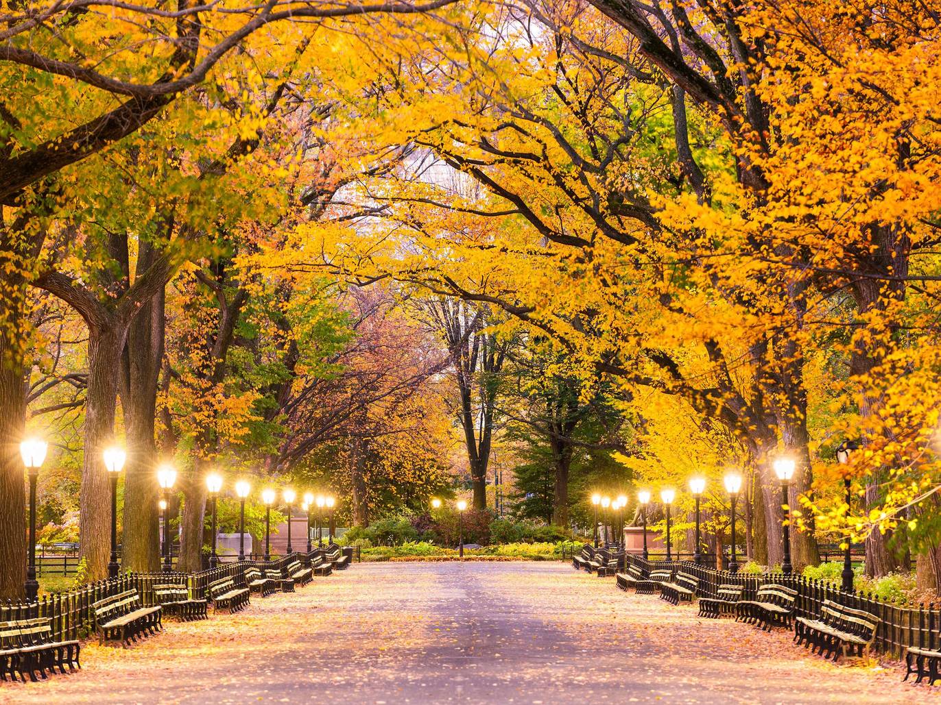 Best Columbus Day events in NYC including the Columbus Day Parade