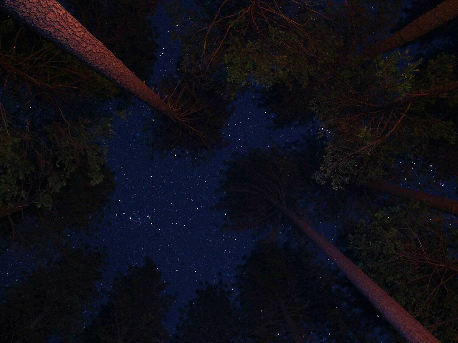 15 Best Places for Stargazing in the U.S. With Dark, Clear Skies