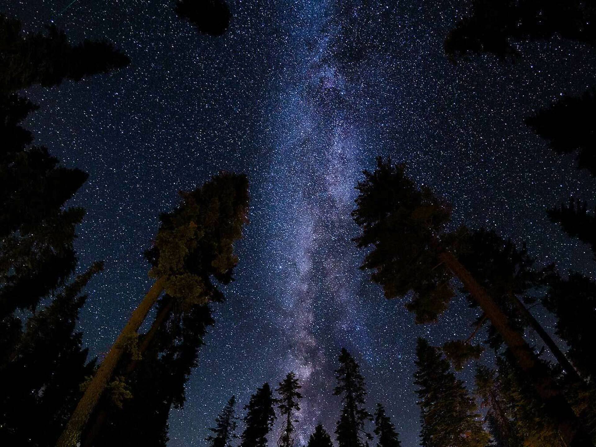 18 Best Places to Stargaze in the U.S. with a Clear Night Sky