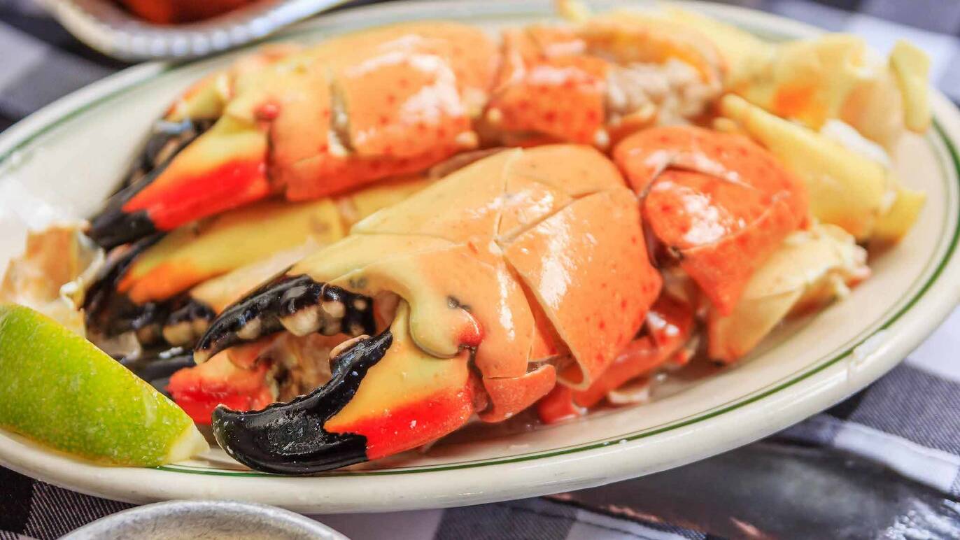 13 Excellent Options for Stone Crabs in Miami - 2021/22 Season
