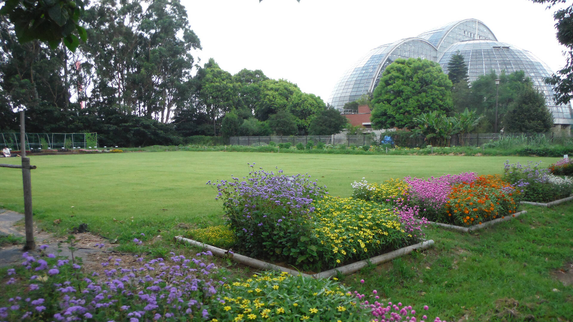 Best botanical gardens and greenhouses in Tokyo | Time Out Tokyo