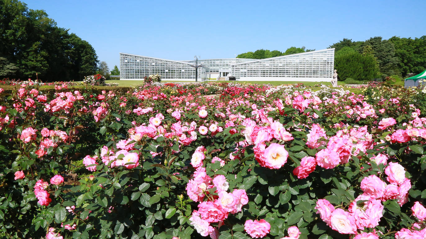 Best botanical gardens and greenhouses in Tokyo | Time Out Tokyo