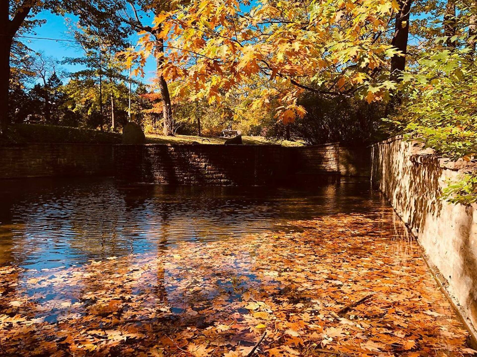 Best Places To See Fall Colours in Montreal