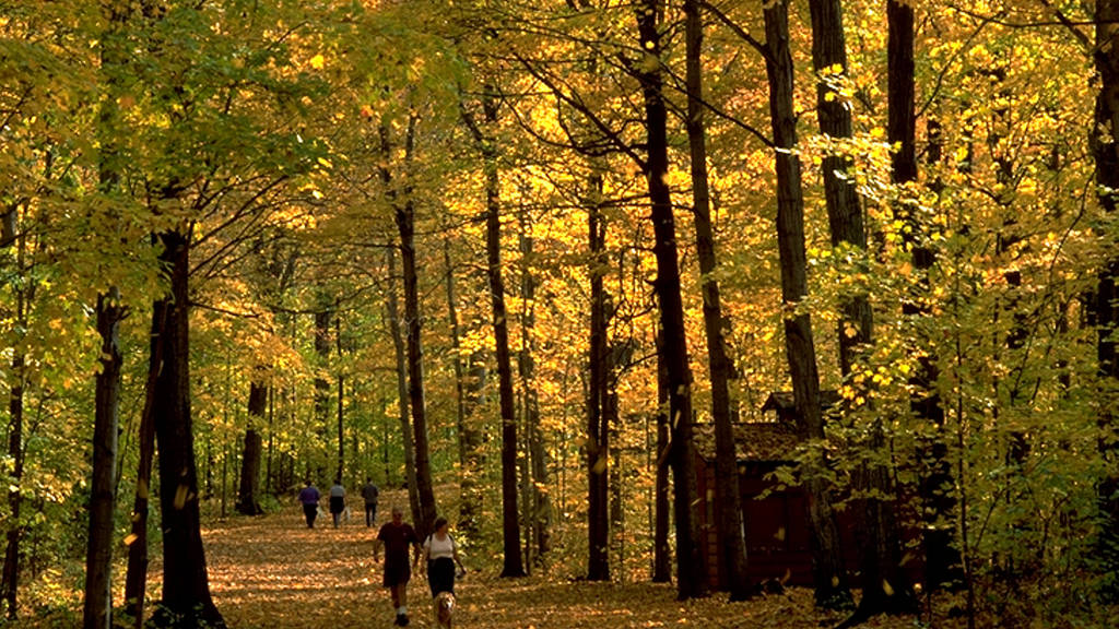 Hiking Near Montreal: 26 Trails to Take and Sights to See