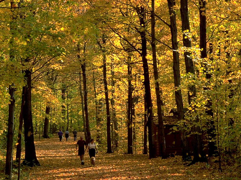 Hiking Near Montreal: 26 Trails to Take and Sights to See