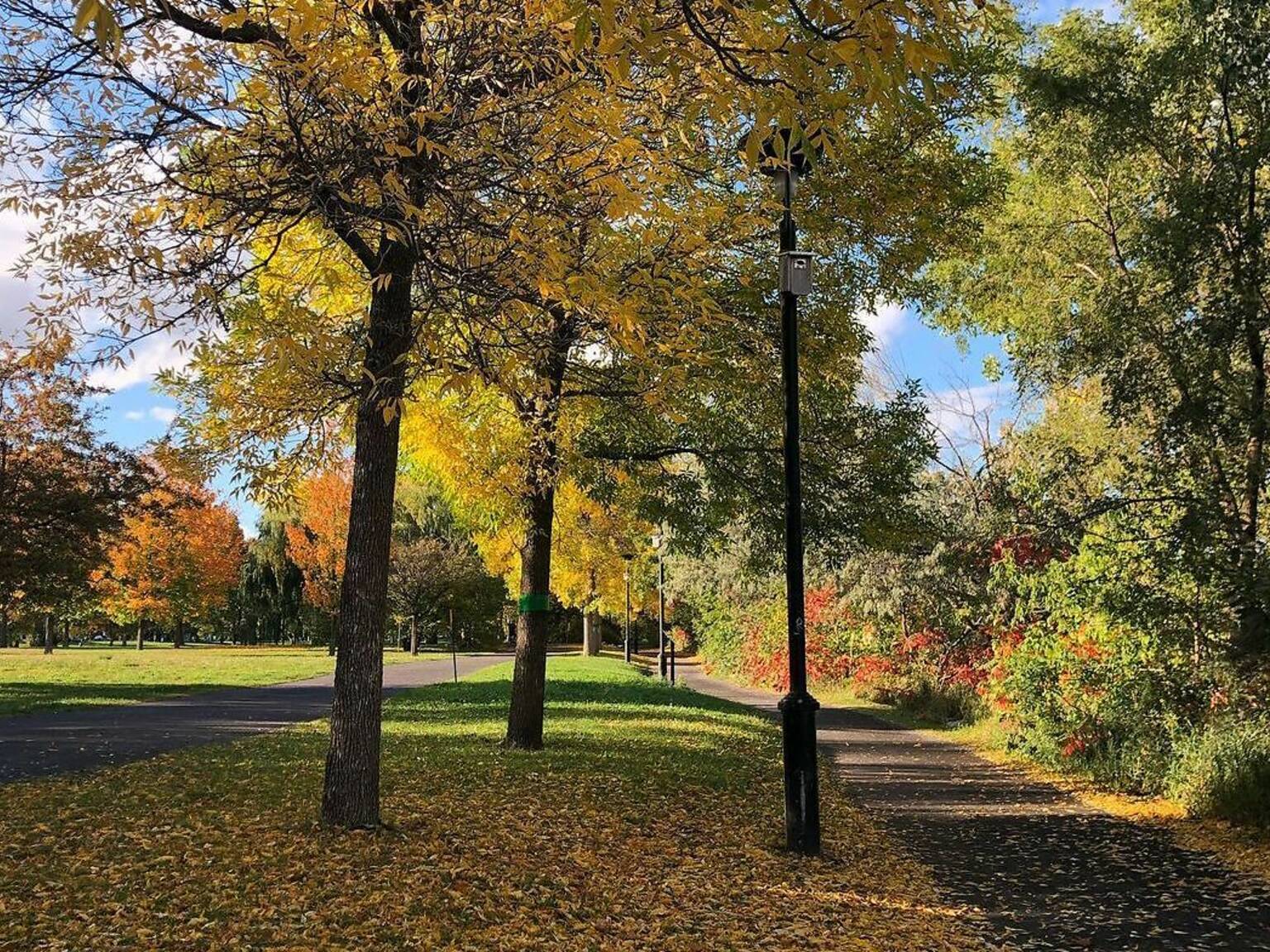 Best Places To See Fall Colours in Montreal