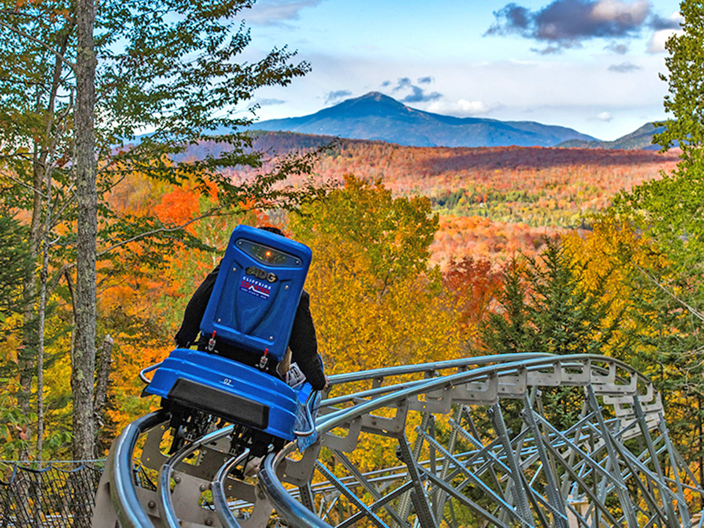 18 Best Things To Do In New York State Right Now 18 Best Things To Do In New York State Right Now