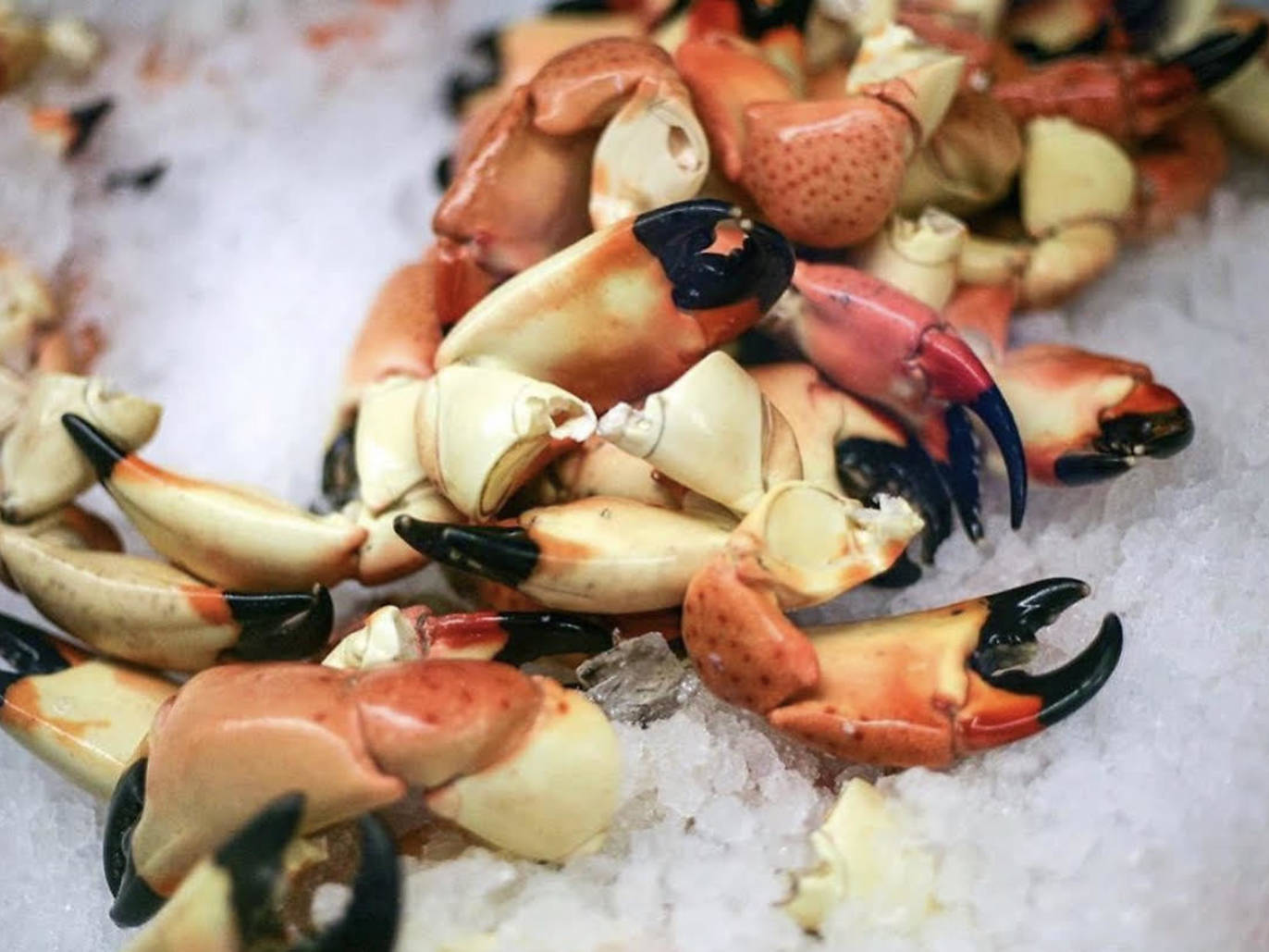 13 Excellent Options for Stone Crabs in Miami - 2021/22 Season