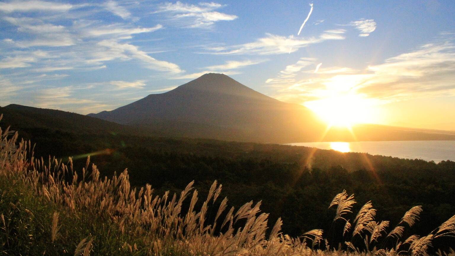 Catch these stunning pampas grass fields in Japan this autumn