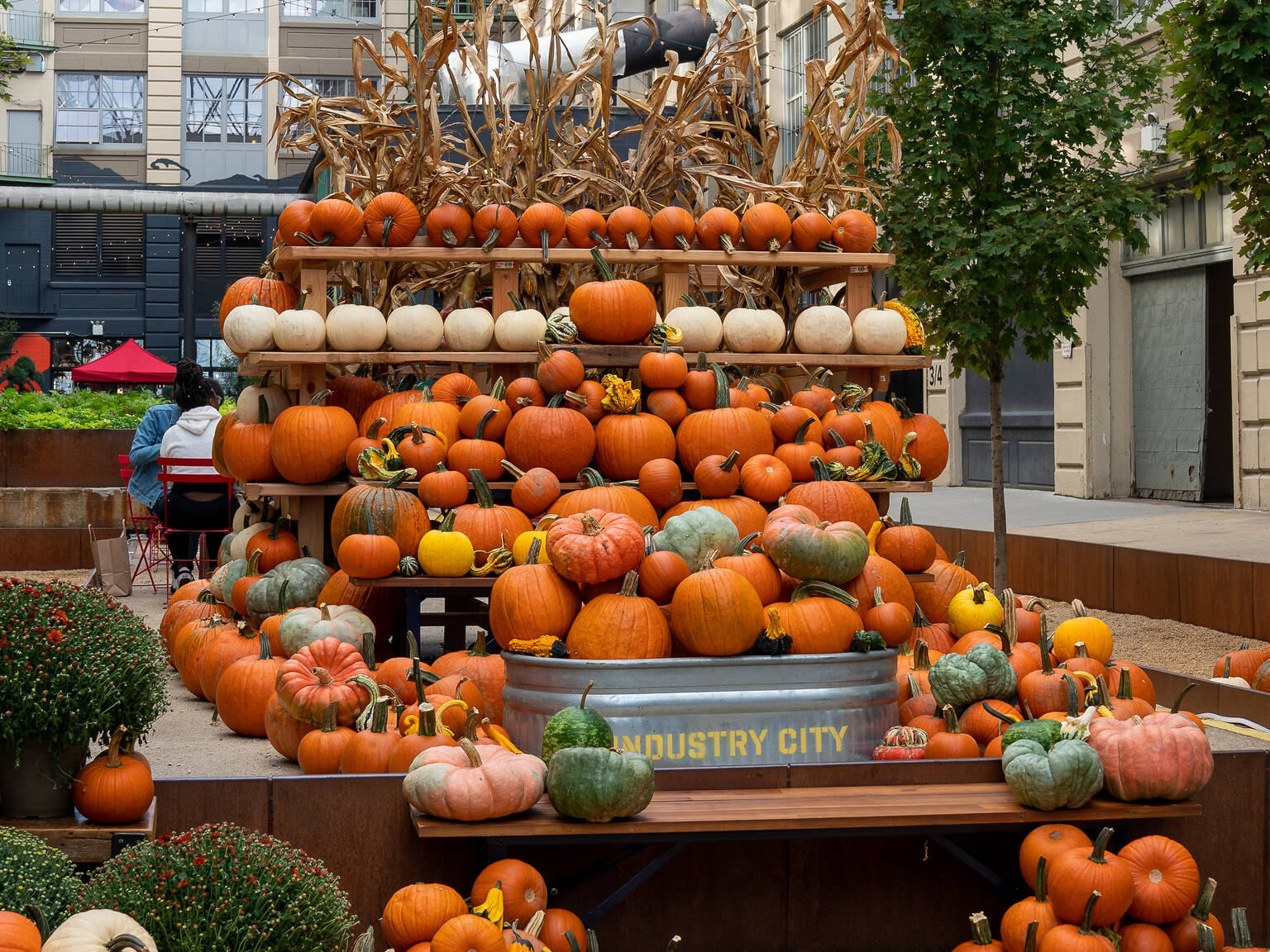 Here's Where To Find a Pumpkin Display in NYC This Fall