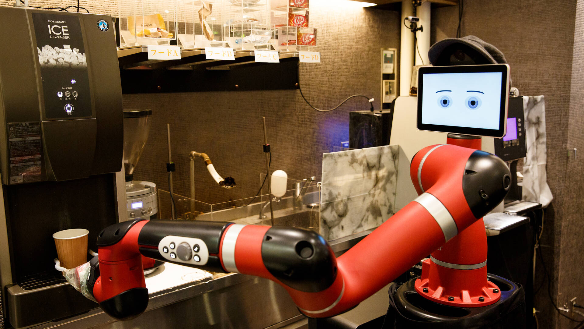 Henn na Café | Restaurants in Shibuya, Tokyo