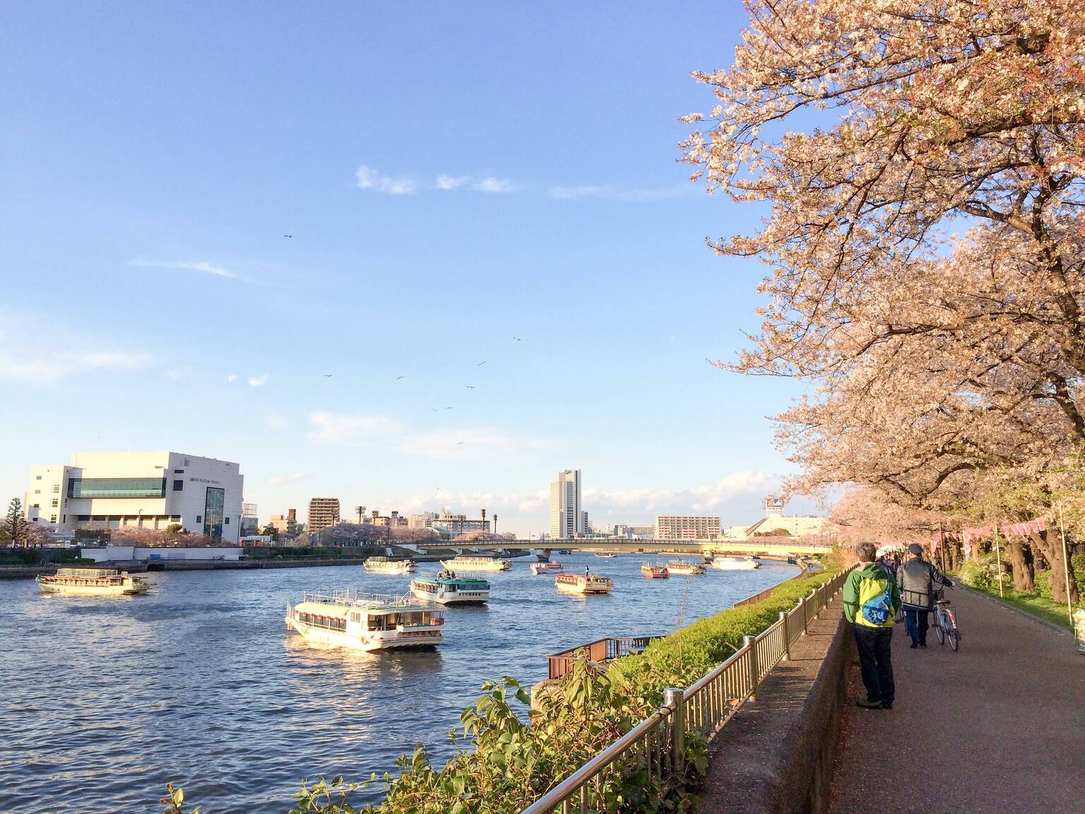 Best scenic bicycle routes in and around Tokyo | Time Out Tokyo