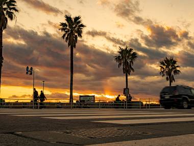 Best scenic bicycle routes in and around Tokyo | Time Out Tokyo
