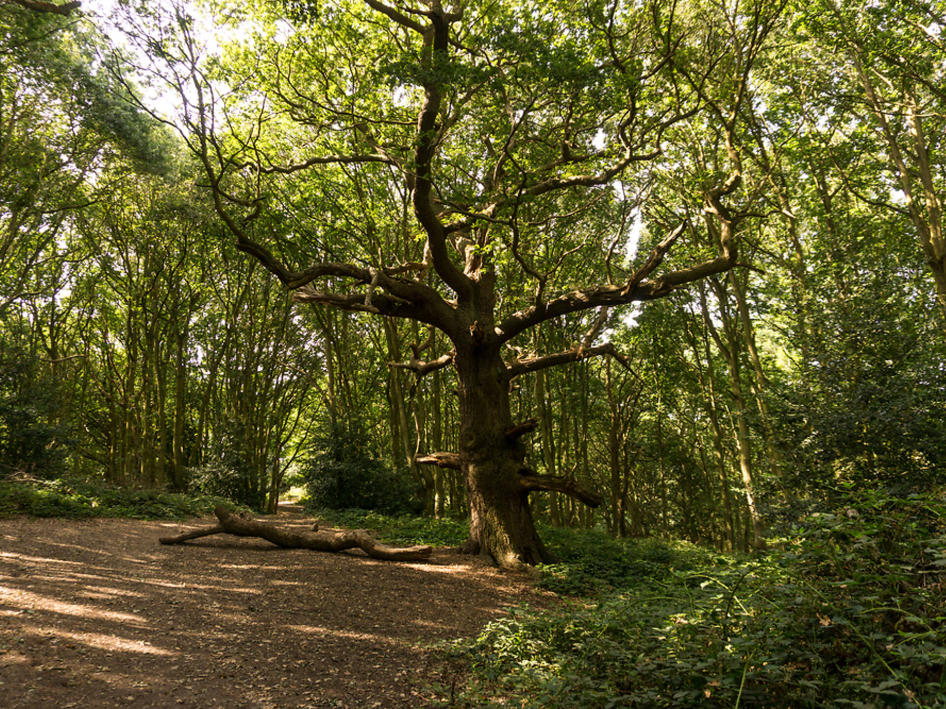 15 Most Haunted Places In the UK For Ghost Lovers
