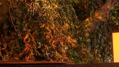 Best foodie destinations in Japan | Time Out Tokyo