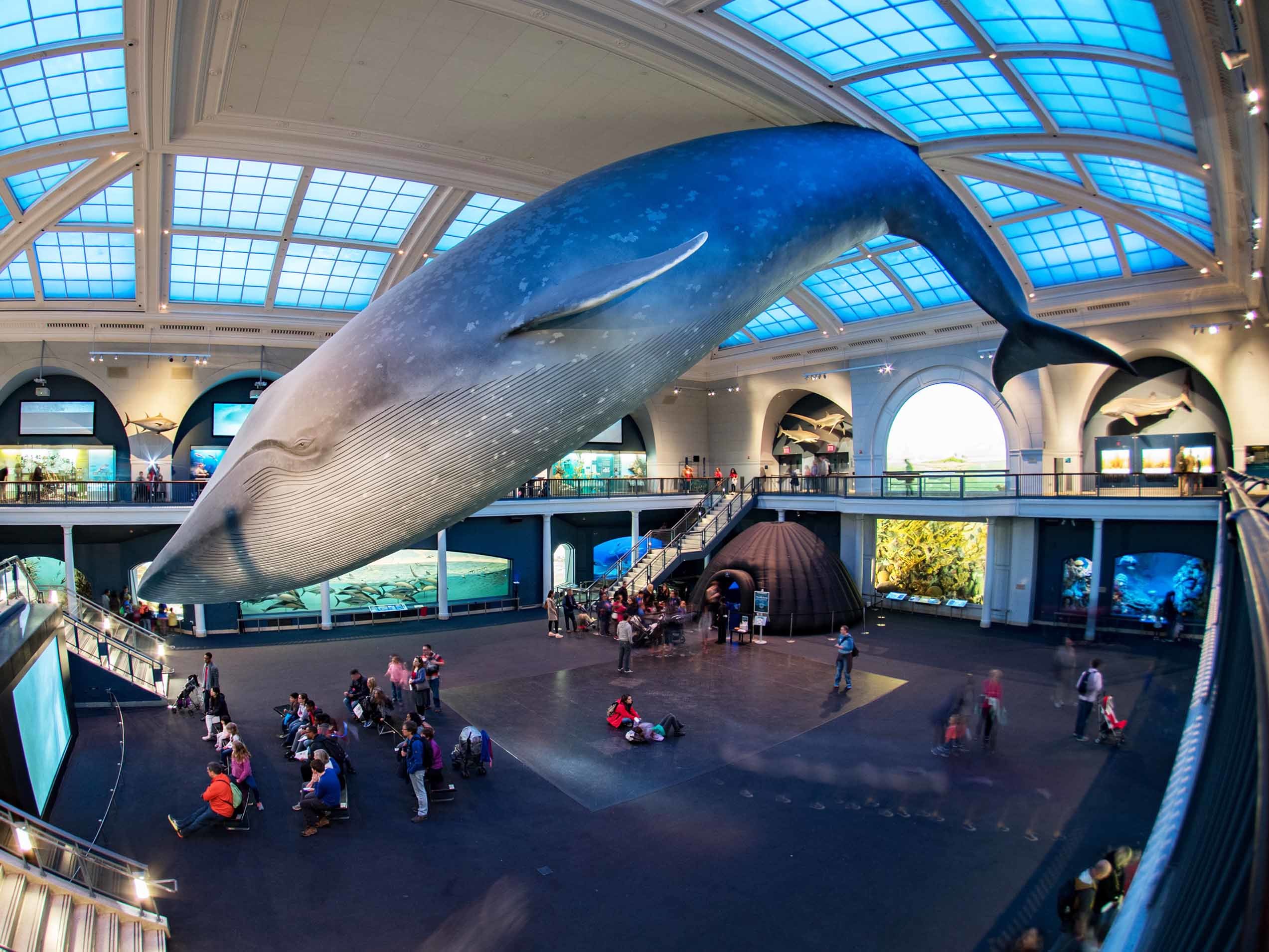 Culture Pass to resume free admission to these 25 NYC attractions