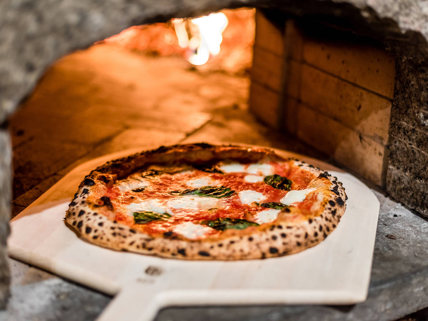 19 Best Pizzas in Miami to Satisfy Every Cheesy, Saucy Craving