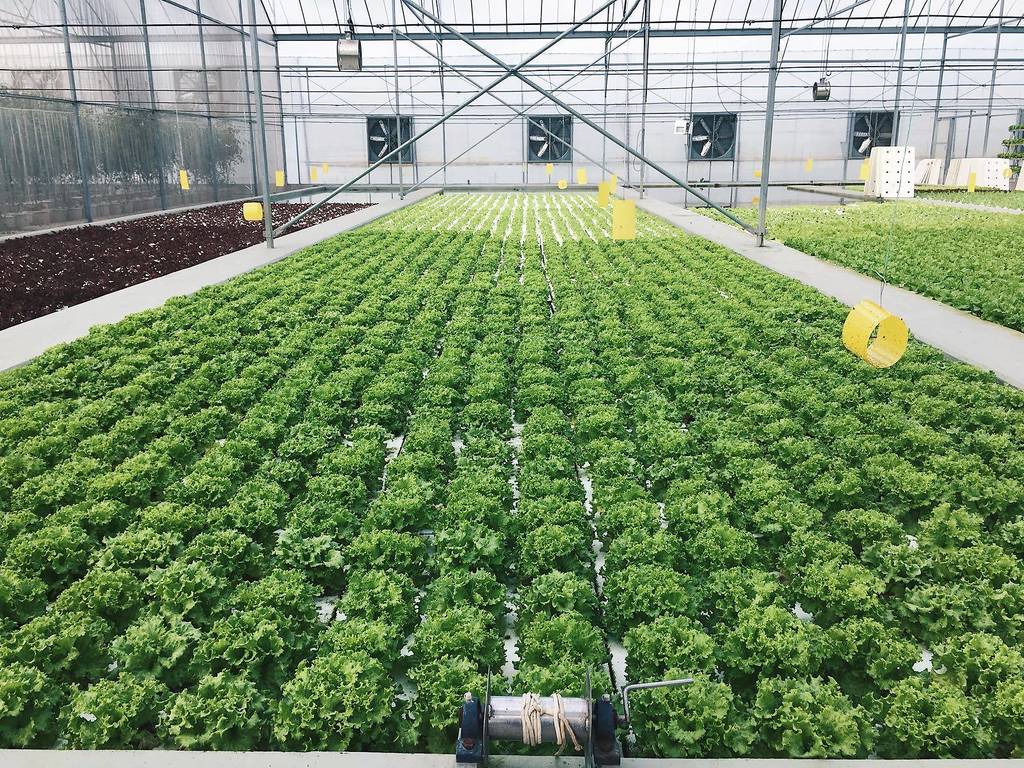 10 Best Farms in Singapore To Visit