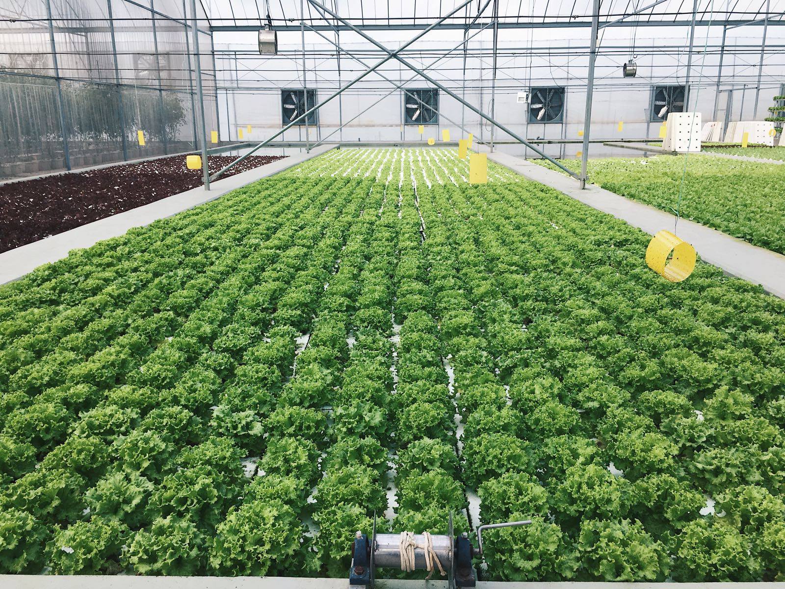 Kok Fah Technology Farm | Things to do in Western Water CA, Singapore