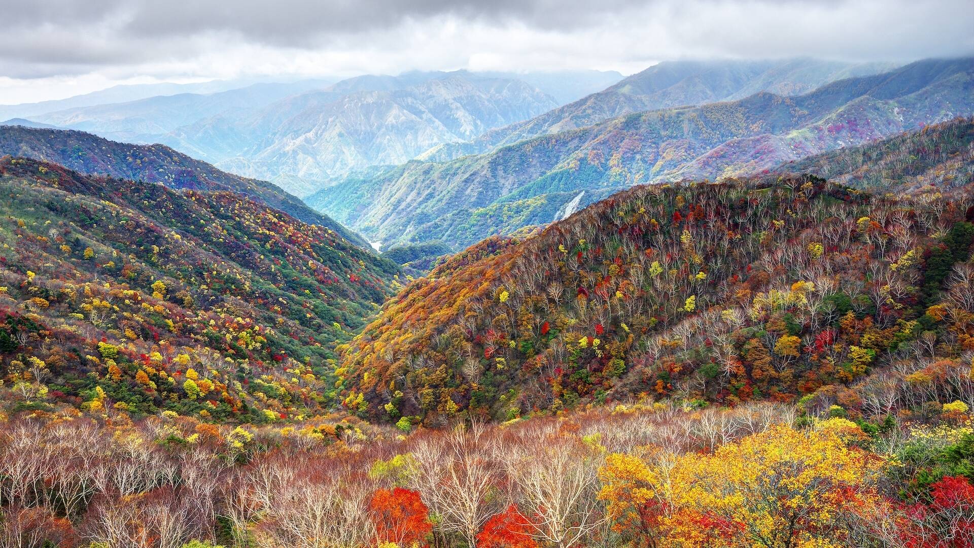 The best national parks in Japan | Time Out Tokyo