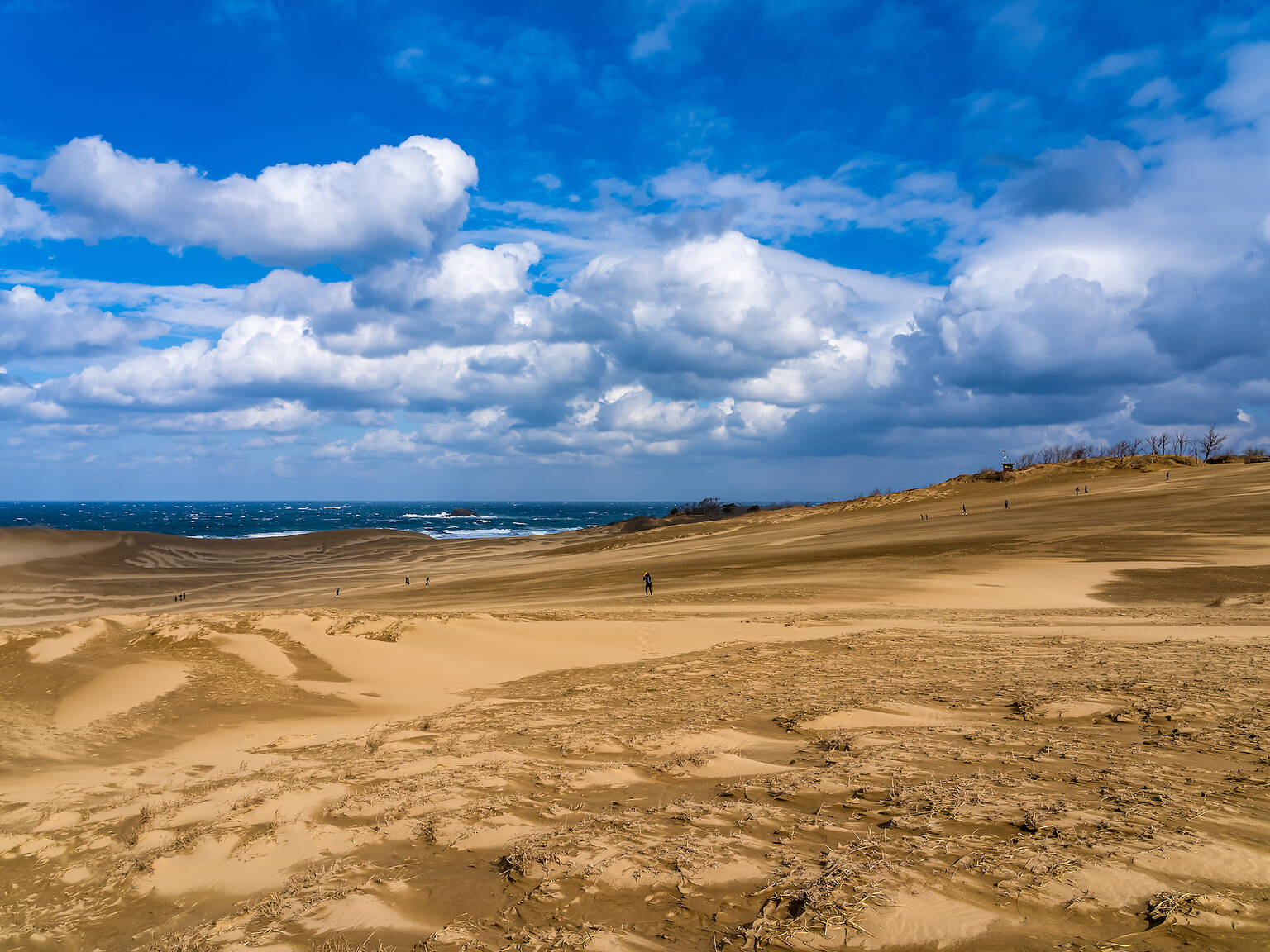 The best national parks in Japan | Time Out Tokyo