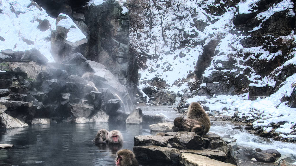 The best national parks in Japan | Time Out Tokyo