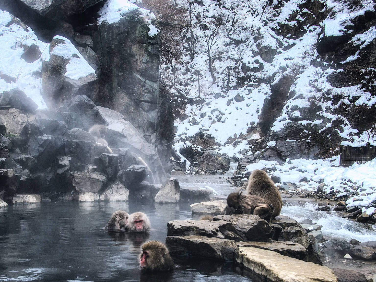 The best national parks in Japan | Time Out Tokyo