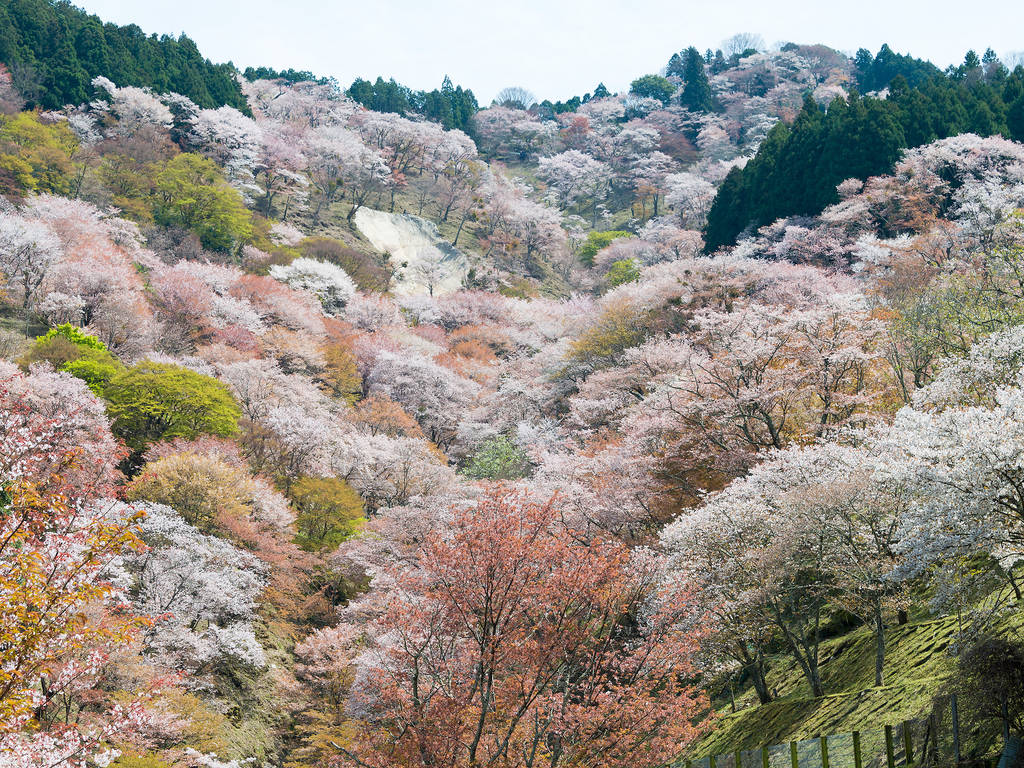 The best national parks in Japan | Time Out Tokyo