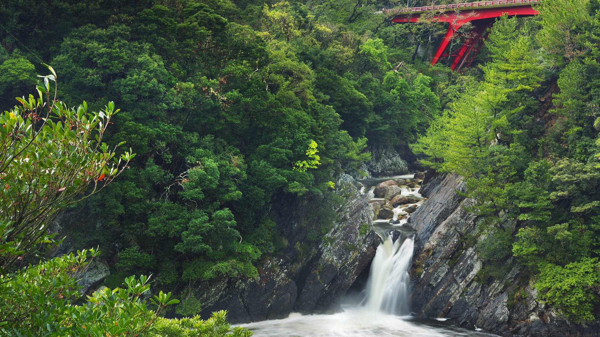 The best national parks in Japan | Time Out Tokyo