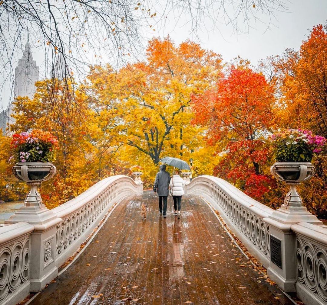 Gorgeous Fall Foliage In New York City Right Now Gorgeous Fall Foliage In New York City Right Now