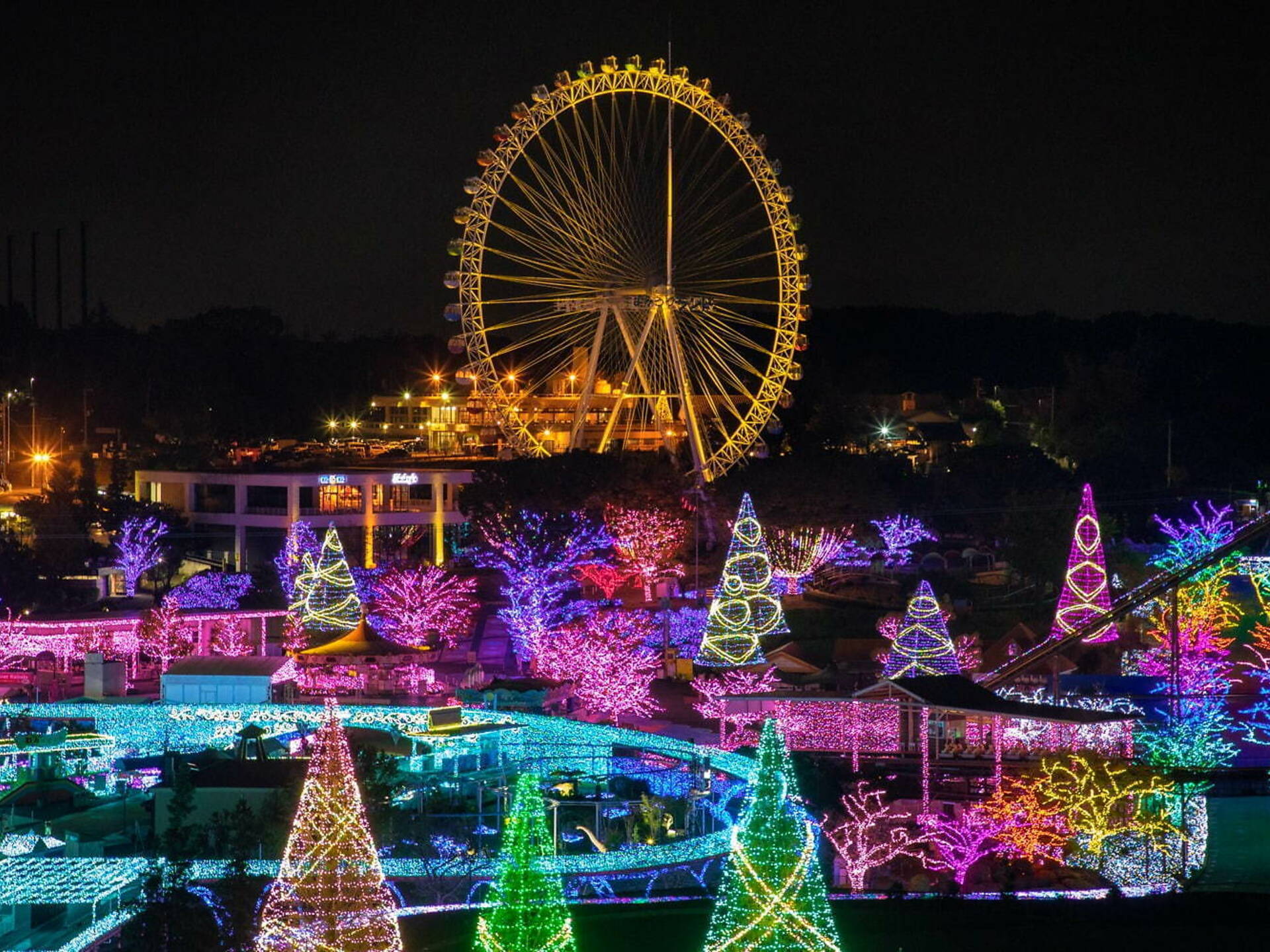 8 best illuminations and light displays in Japan