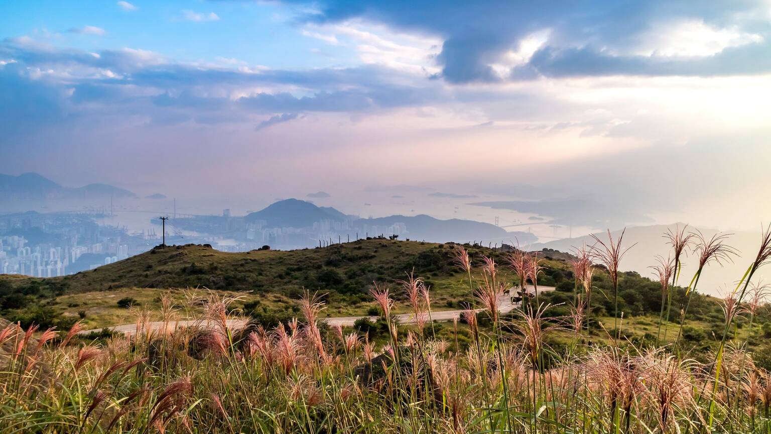 The 11 Best Country Parks to Visit in Hong Kong