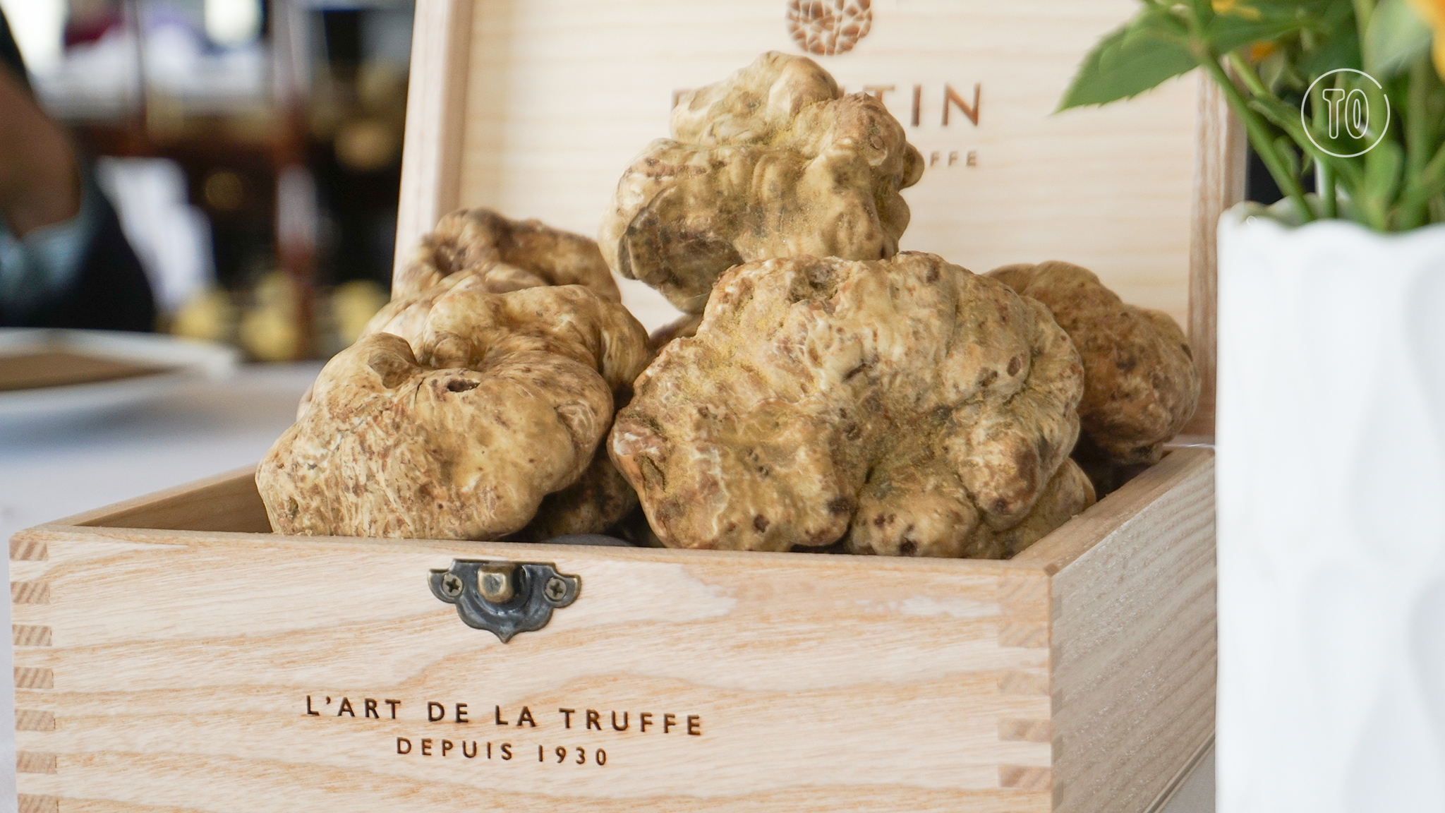 Explore the B12,500 taste of elusive Alba white truffle at Le Normandie