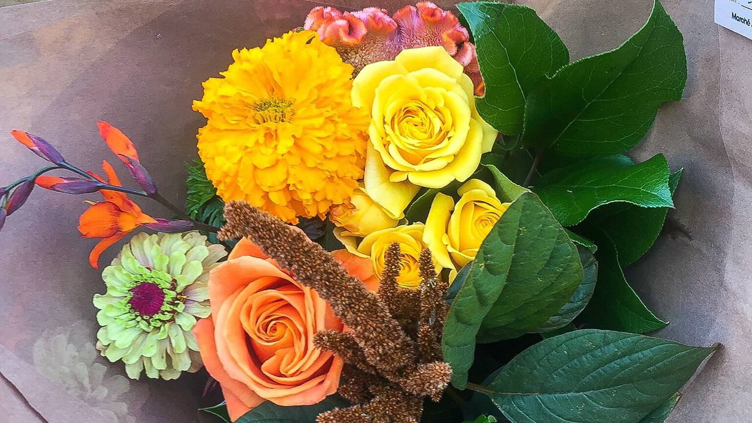 The 14 Best Montreal Flower Delivery Services: Order Online